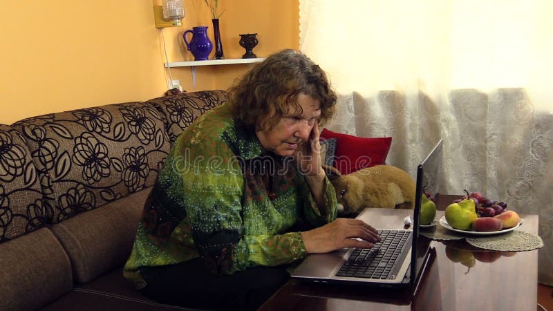 Senior Grandma Woman Work with Laptop Notebook Computer at Home Stock ...