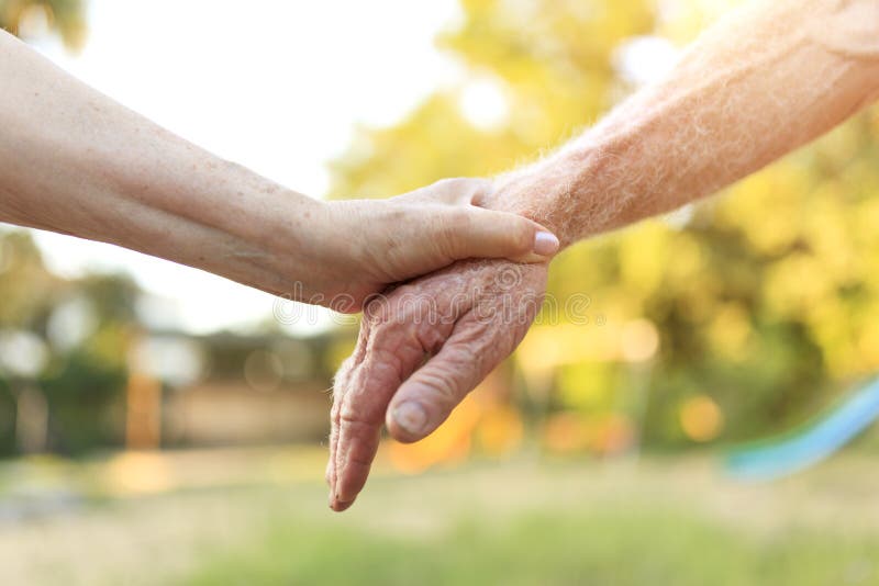 Senior hands stock photo. Image of care, assist, grandmother - 74114682