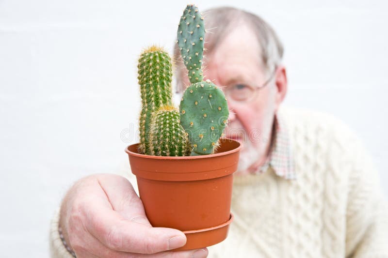 Senior Holding Cacti in a Plant Pot. Stock Image - Image of decoration, decorative: 23648033