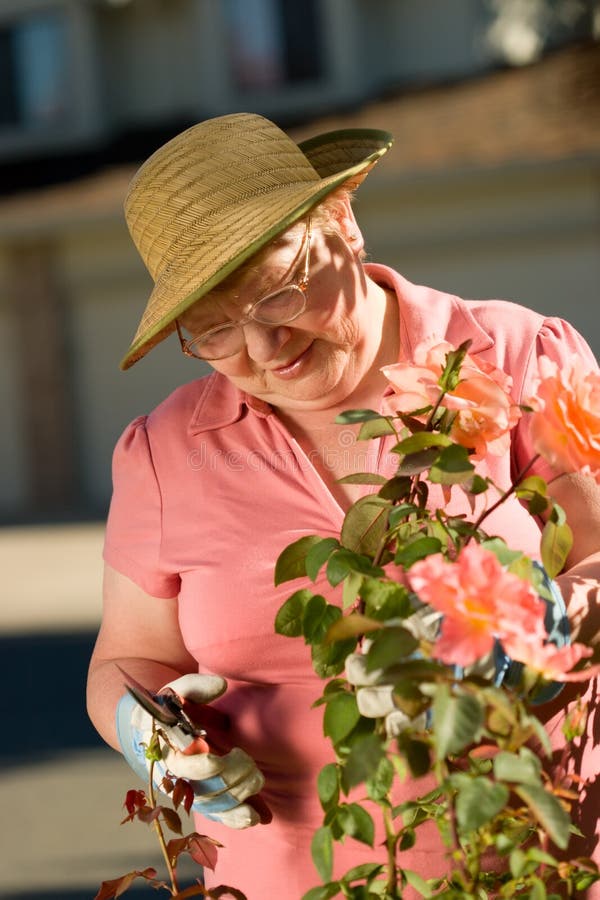 Senior woman gardening stock photo. Image of horticulture - 19760544