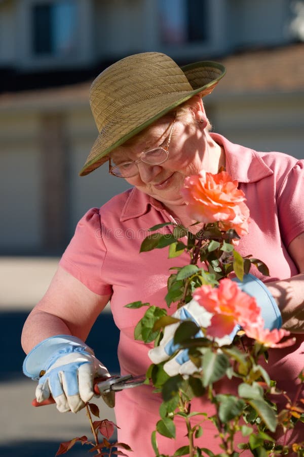 Senior lady in garden stock image. Image of healthy, human - 7666169