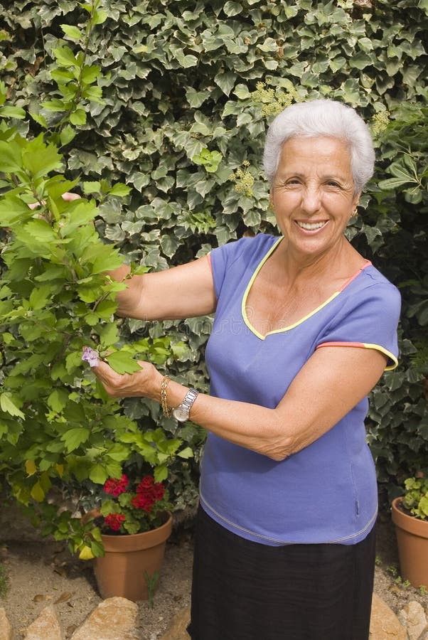 Senior Lady Pruning Her Plants Stock Photo - Image of cultivation ...