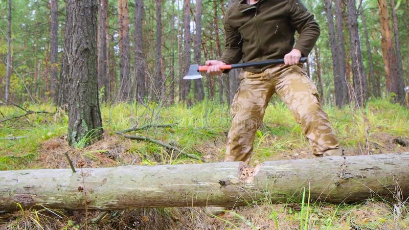 Senior Lumberjack Cutting Tree with Axe in the Forest Stock Video ...