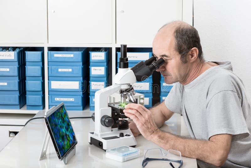 Scientist Works with Cultured Cells Stock Photo - Image of fifty ...