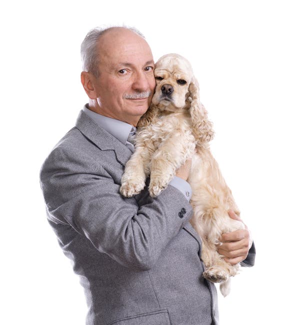 Senior Man with American Cocker Spaniel in Studio Stock Image - Image ...
