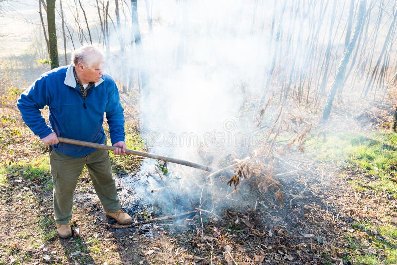 Senior Man is Burning Dry Branches. Stock Photo - Image of rural ...