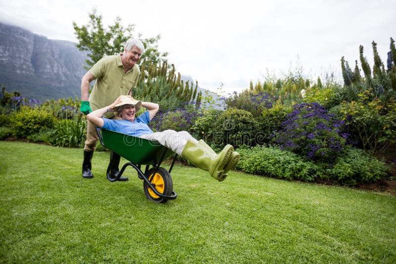 Senior Man Carrying His Partner in Wheelbarrow Stock Image - Image of ...