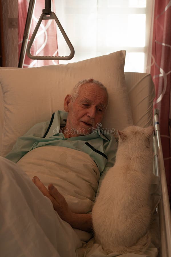 Senior Man with Cat Lying in Bed Stock Image - Image of happiness ...