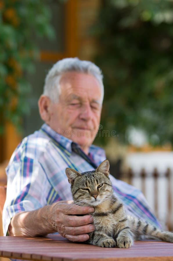 Senior man with cat stock photo. Image of happiness, funny - 32512000