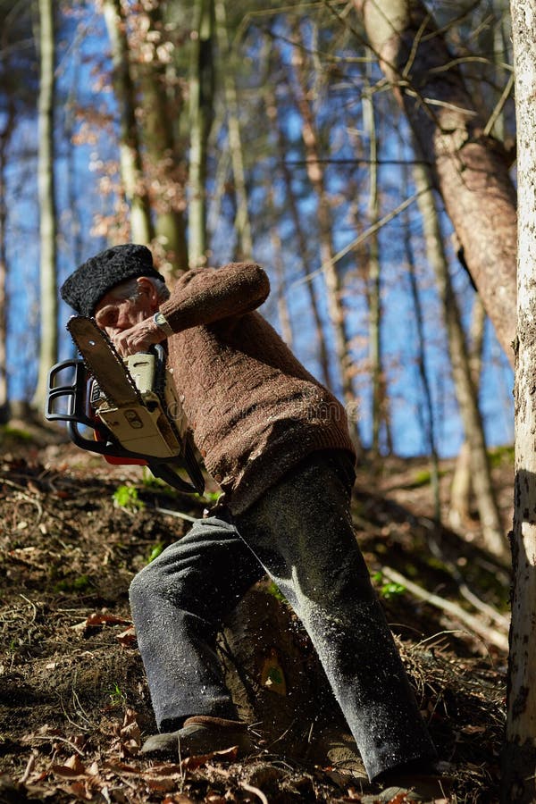 Senior Man with Chainsaw in a Forest Stock Photo - Image of forestry ...