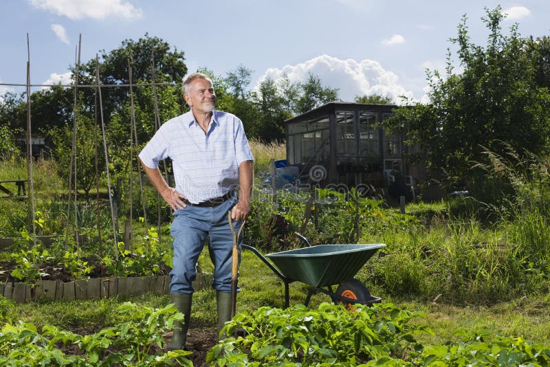 Senior Man in Community Garden Stock Image - Image of mature, clouds ...