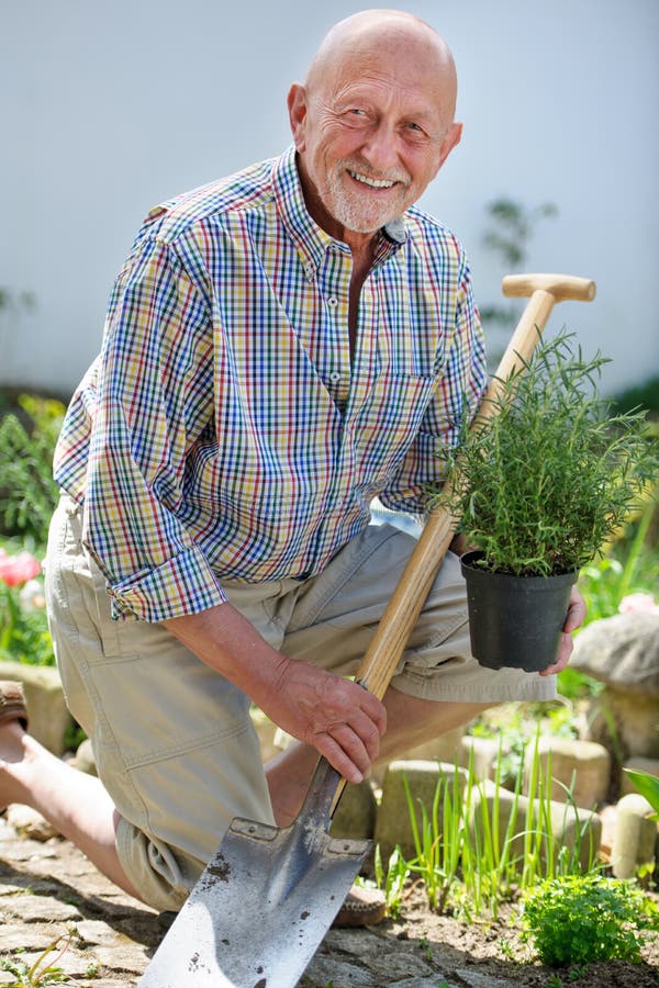 Senior man gardening stock photo. Image of happy, outdoor - 19760628