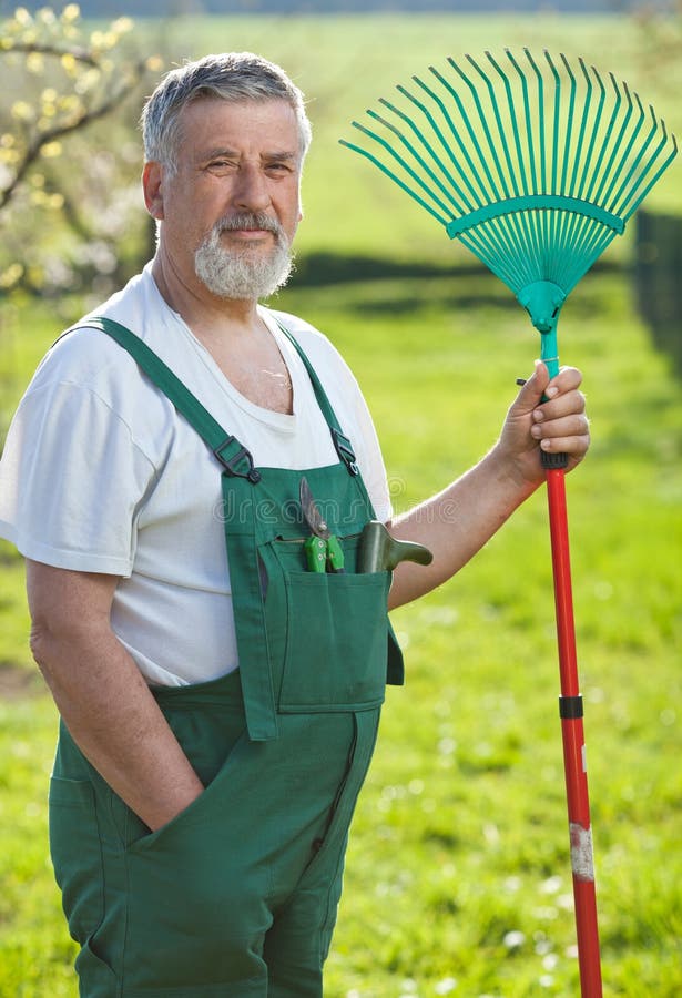 Man Gardening in His Garden Stock Image - Image of flower, outside ...
