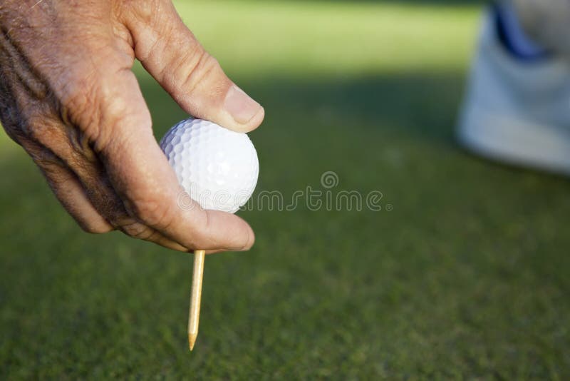 Hand Hold Golf Ball with Tee on Course Stock Photo - Image of golfing ...