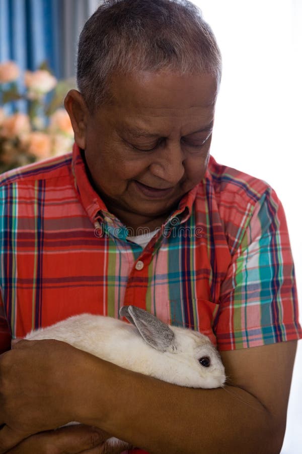 Senior Man Holding Rabbit at Retirement Home Stock Photo - Image of ...