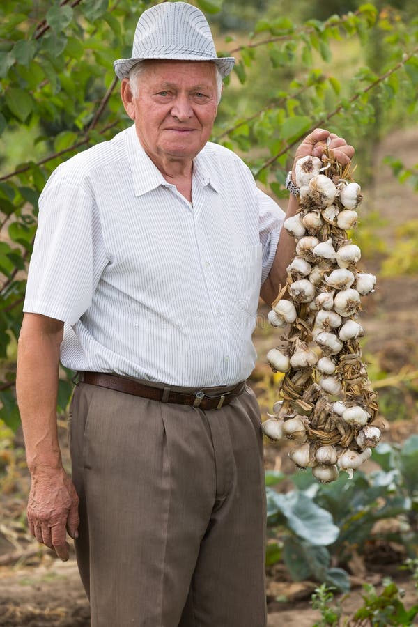 Senior Man Holding a Wreath of Garlic Stock Photo - Image of human ...