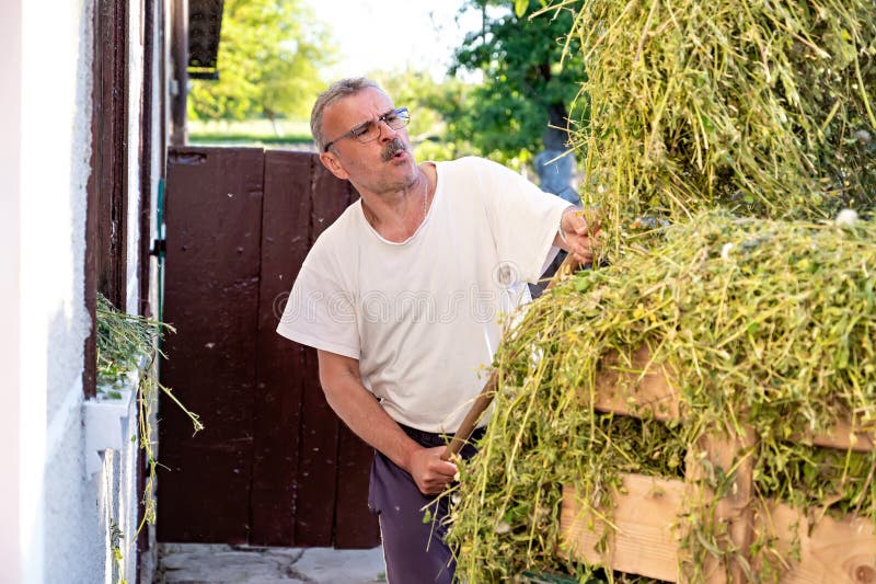Senior Man Loading Hay in Front of His House Stock Photo - Image of ...