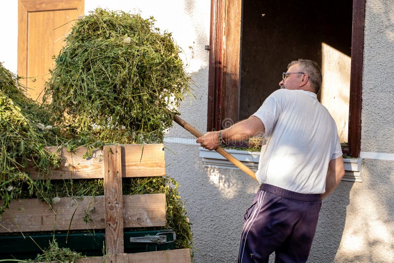 Senior Man Loading Hay in Front of His House Stock Image - Image of ...