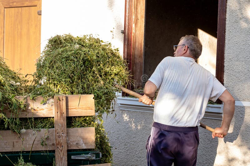 Senior Man Loading Hay in Front of His House Stock Photo - Image of ...
