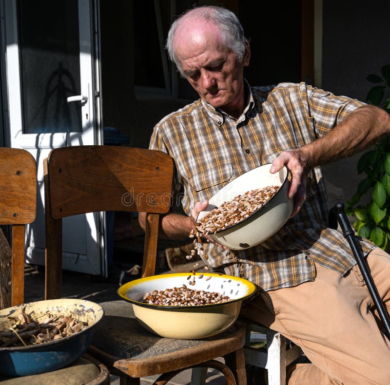 Senior man peeling beans stock image. Image of heap - 195878221