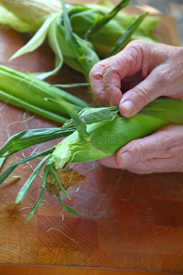 Man Husking Summer Corn from Overhead Stock Photo - Image of text ...