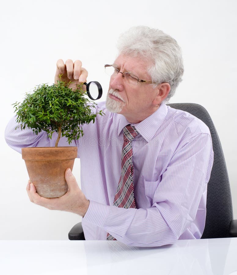 Senior man small tree stock image. Image of looking, botany - 10338267