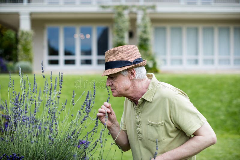 8,701 Man Smelling Stock Photos - Free & Royalty-Free Stock Photos from ...