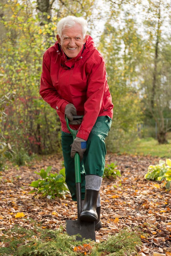Senior Man with a Spade in Garden Stock Photo - Image of outside, close ...