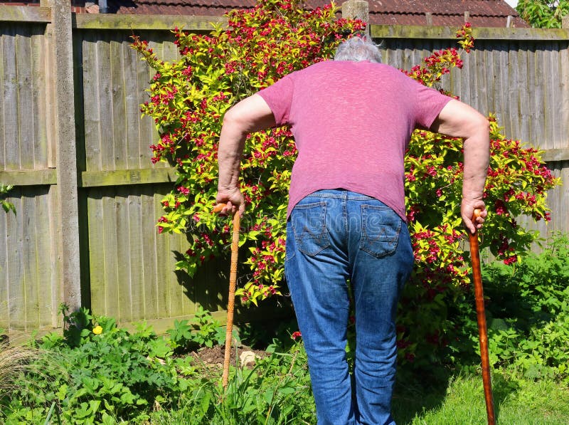Senior Man Walking Sticks Canes Arthritis Stock Photos - Free & Royalty ...