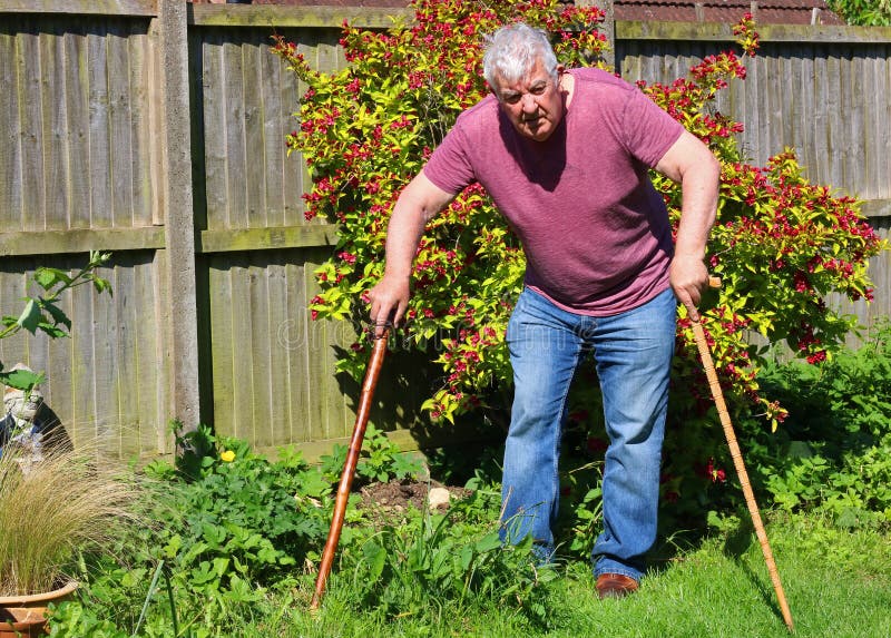 Senior Man Walking Sticks or Canes. Arthritis. Stock Image - Image of ...