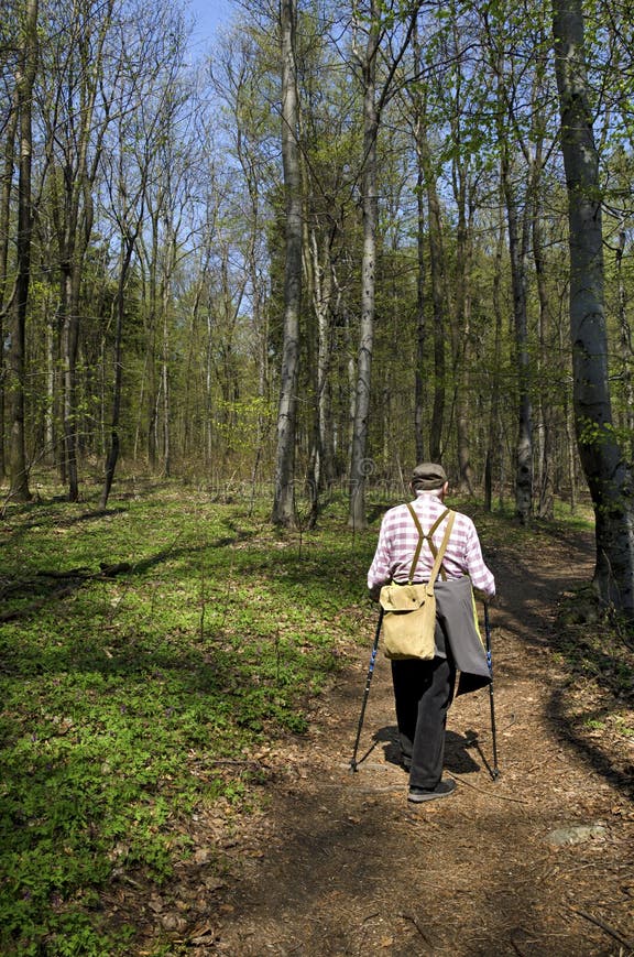 The senior nordic walking stock photo. Image of life - 30593510