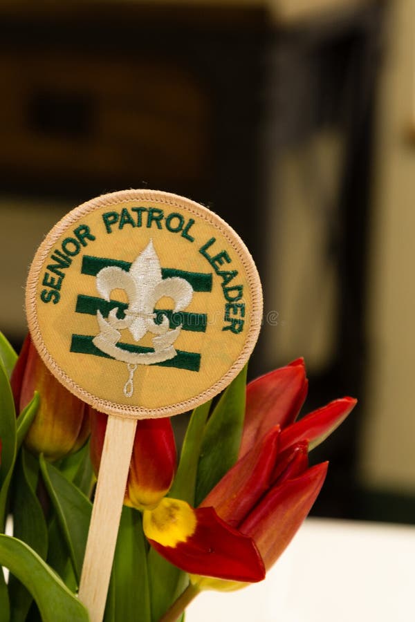 Senior Patrol Leader Patch with Space for Text Stock Photo - Image of ...