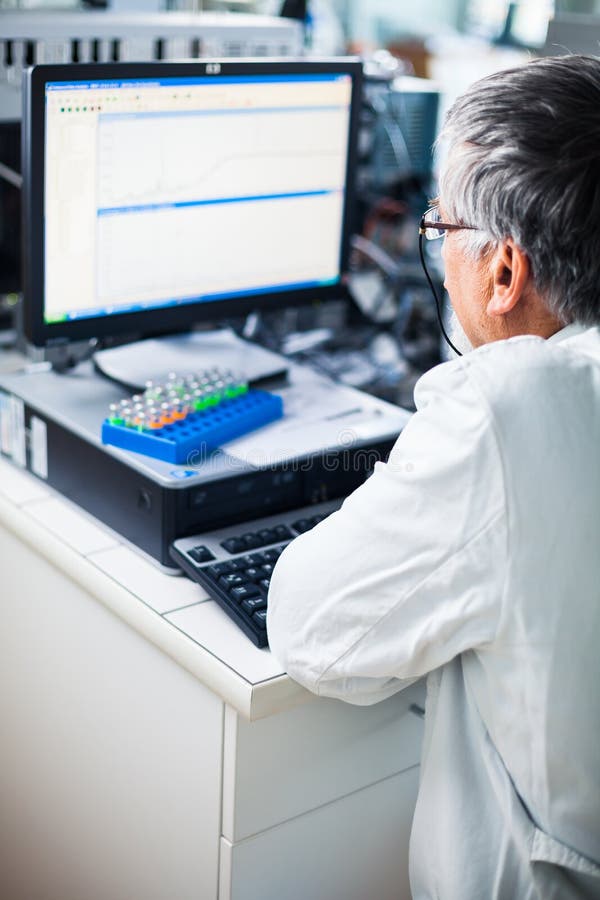 Senior Researcher Using a Computer in the Lab Stock Photo - Image of ...