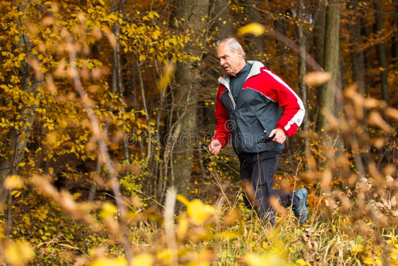 Senior Man Running Back View Stock Photo - Image of active, view: 252170808