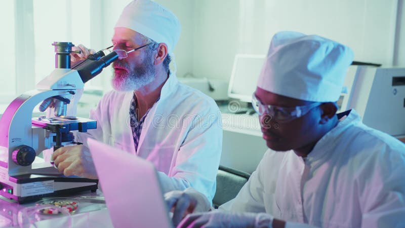 Scientists Analyzing Samples Under Microscope in Laboratory Stock ...