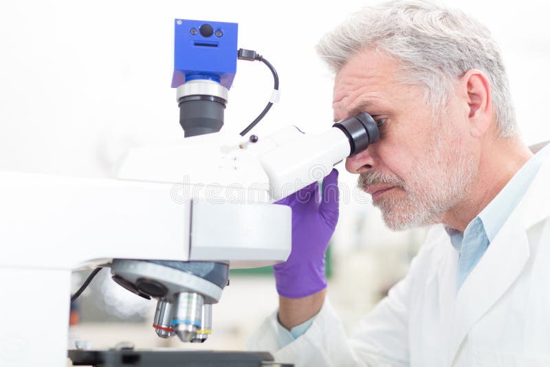 Senior Scientist Microscoping in Lab. Stock Photo - Image of experiment ...