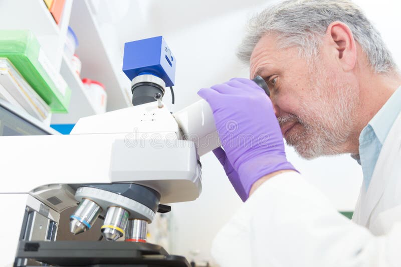 Senior Scientist Microscoping in Lab. Stock Image - Image of chemistry ...
