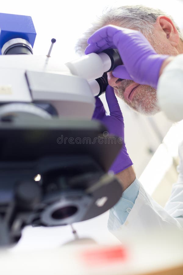 Senior Scientist Microscoping in Lab. Stock Image - Image of biology ...