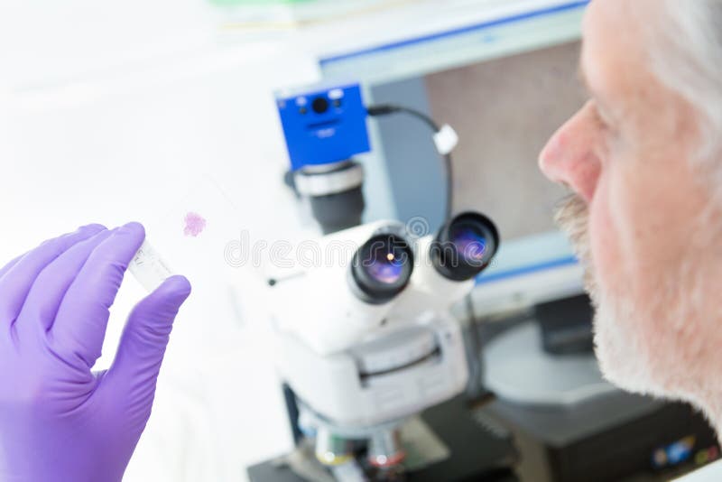 Senior Scientist Microscoping in Lab. Stock Image - Image of hospital ...