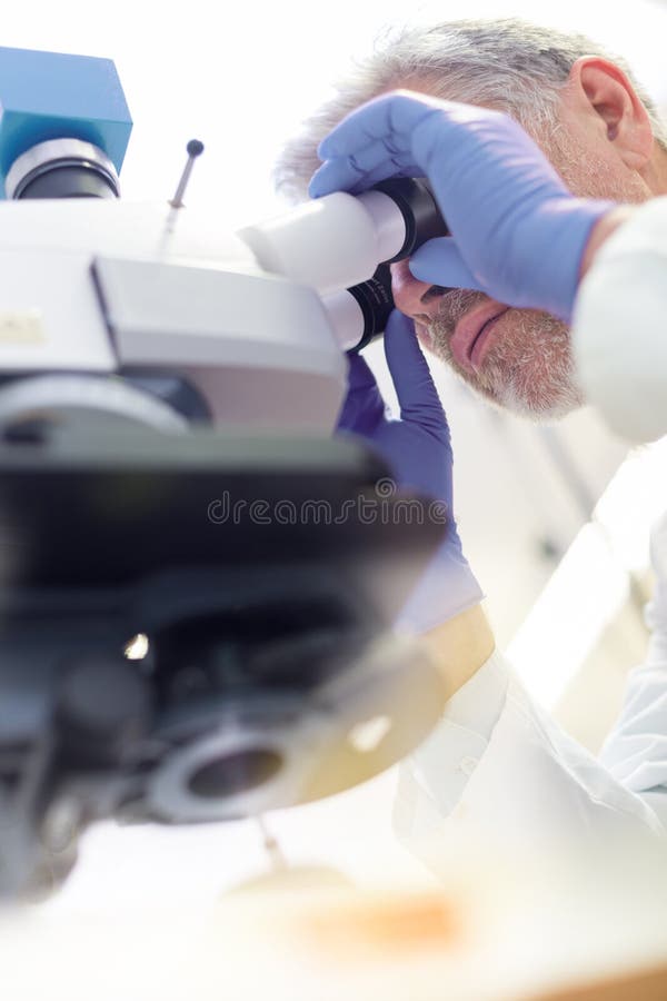 Senior Scientist Microscoping In Lab. Stock Photo - Image of biology ...