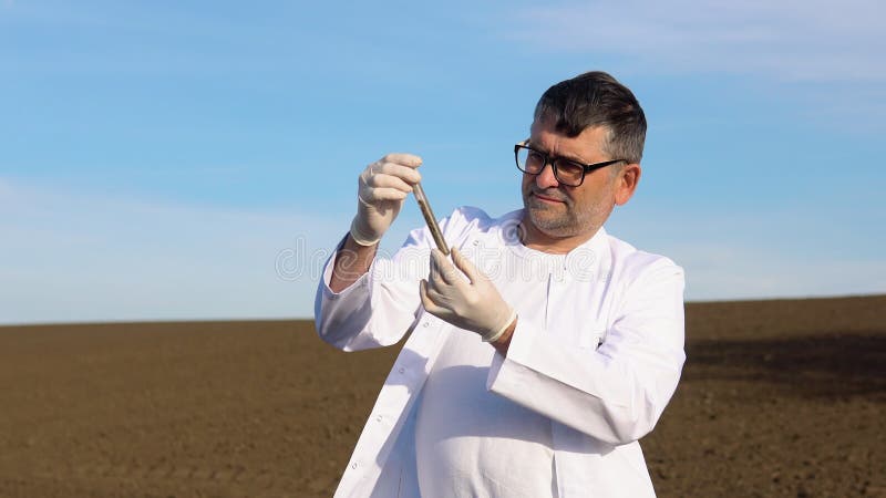 Senior Scientist Studying Sample of Soil in Field. Soil Sampling for ...