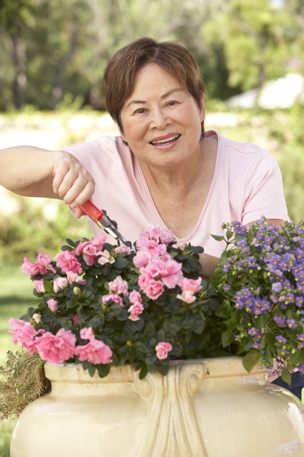 Senior Woman Gardening stock photo. Image of camera, space - 11502612