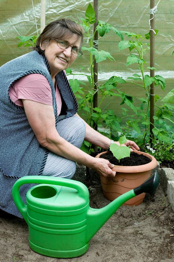 Senior woman gardening stock image. Image of gardening - 11978301
