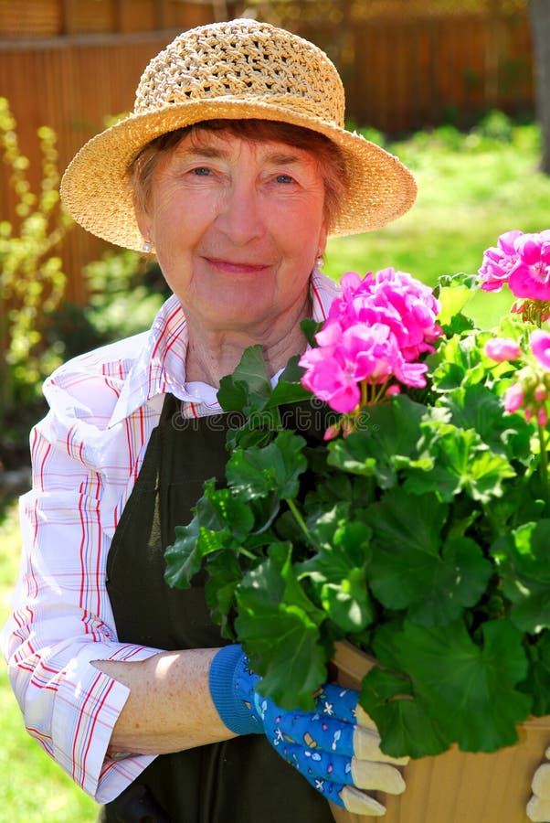 Senior woman gardening stock photo. Image of flowerpot - 2370130