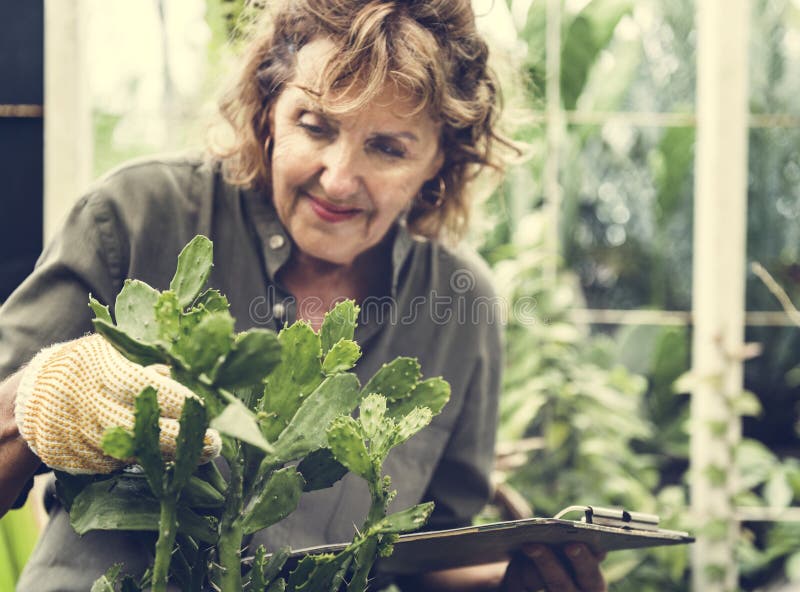 Senior Woman with Gardening Hobby Stock Image - Image of plants, pots ...