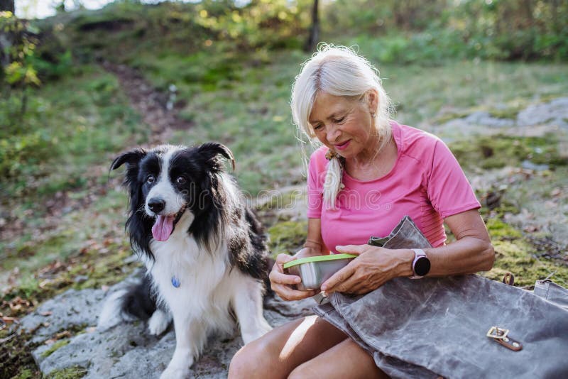 Senior Woman Having Break during Walking Her Dog in Forest. Stock Image ...