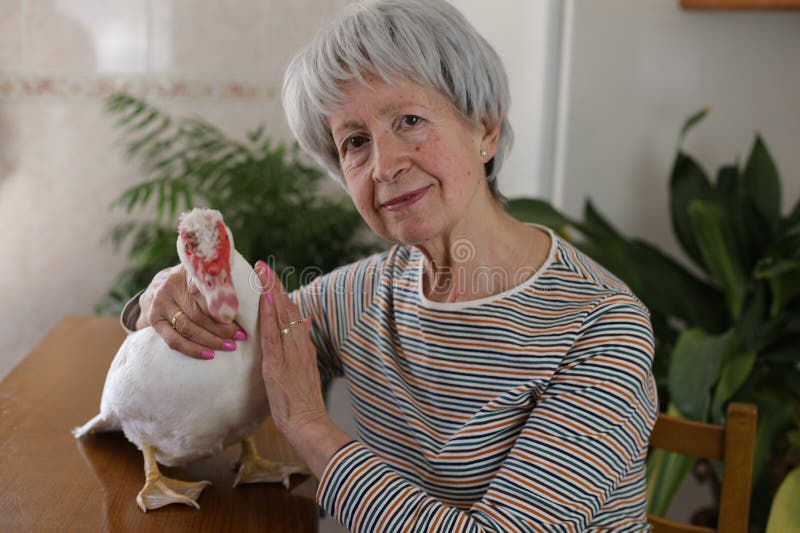 Senior woman and her duck stock photo. Image of beak - 314045194
