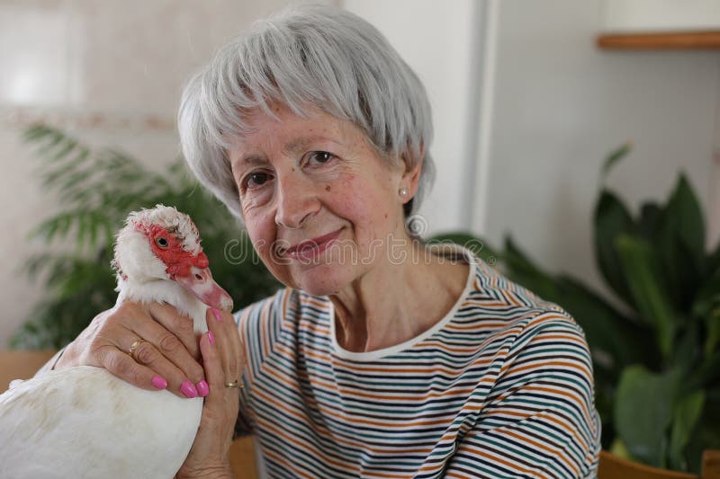 Senior woman and her duck stock photo. Image of mascot - 314045236