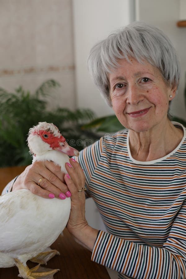 Senior woman and her duck stock photo. Image of food - 314045252