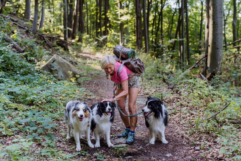 Senior Woman Walking with Her Three Dogs in Forest. Stock Image - Image ...